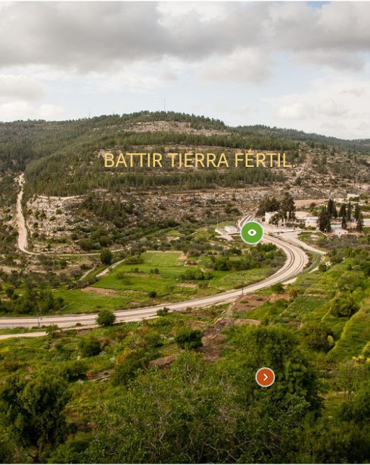 1 BATTIR PAISAJE FÉRTIL CISJORDANIA.