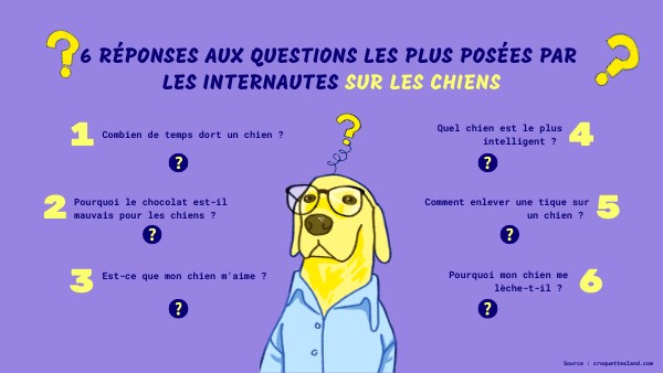 6 RÉPONSES AUX QUESTIONS LES PLUS POSÉES SUR LES