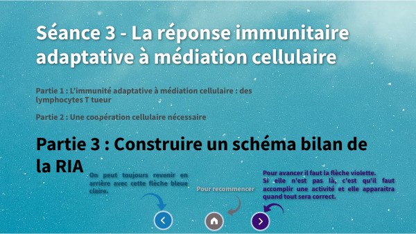 RIA cellulaire schéma bilan | Genially