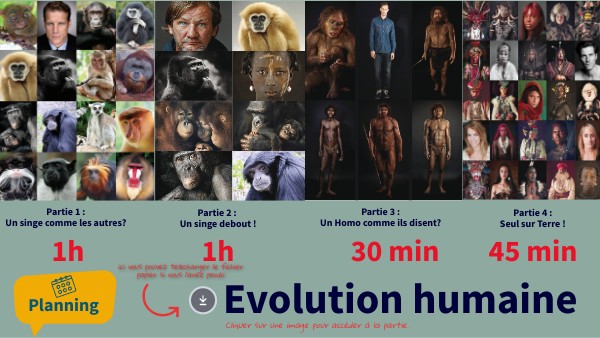 Evolution humaine Claire | Genially