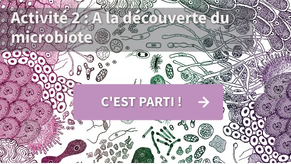Thème2_Chp2_Microorganismes_Microbiote 2023 | Genially