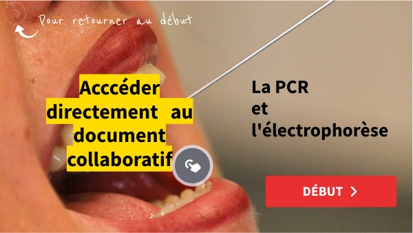 PCR et électrophorèse | Genially