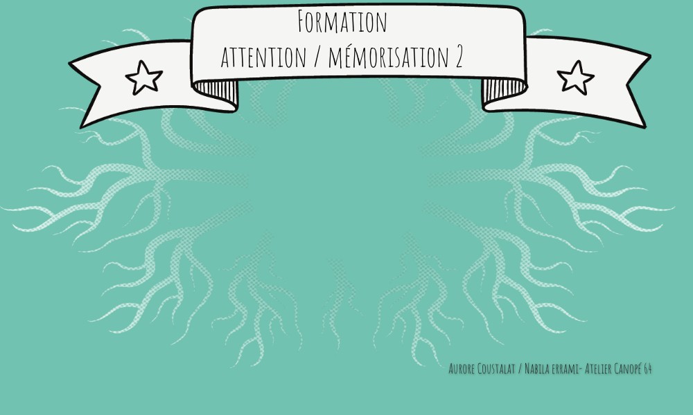 Attention & Mémorisation- module 2
