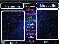 Féminin ou masculin