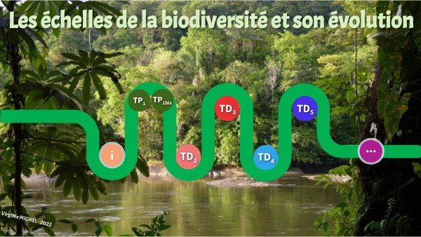 Plan de travail - Les échelles de la biodiversité et son évolution