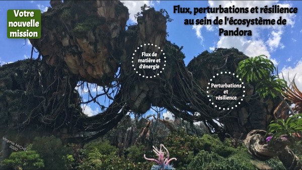 2-Flux, perturbations et résilience d'un écosystème: Pandora