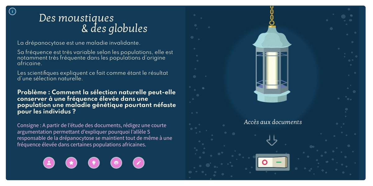 Des moustiques et des globules | Genially