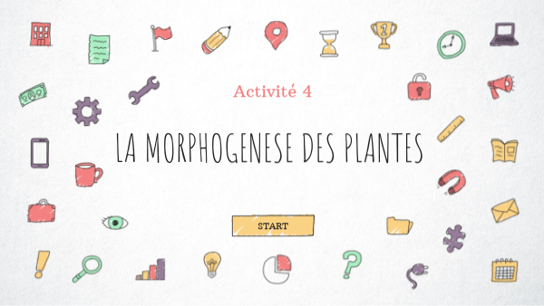 morphogenèse des plantes