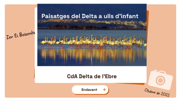 Paisatges del Delta a ulls d'infant | Genially