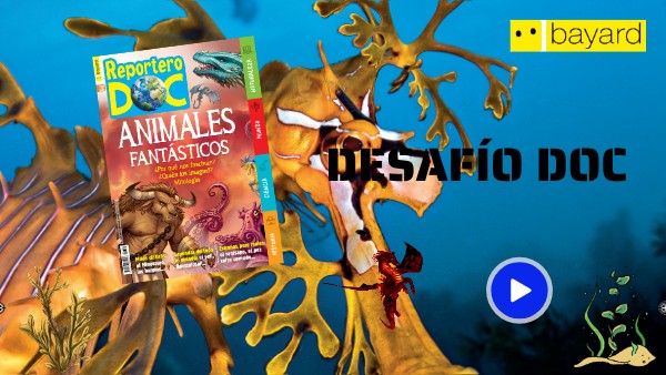 DESAFÍO DOC (REPORTERO DOC)