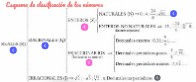 Clasificación de los números | Genially