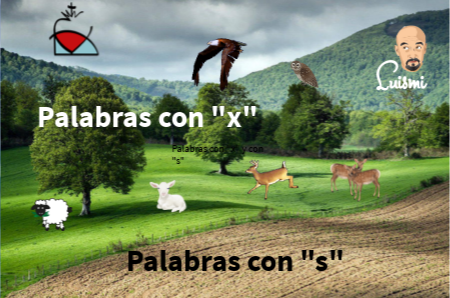 Palabras con "x" y con "s" | Genially