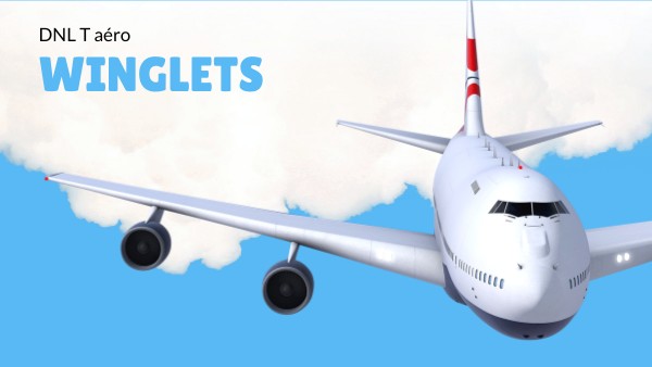 DNL terminales winglets