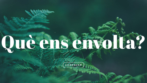 Què ens envolta? | Genially