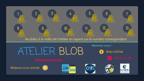 Exposition Blob - Collège Sainte Ide | Genially