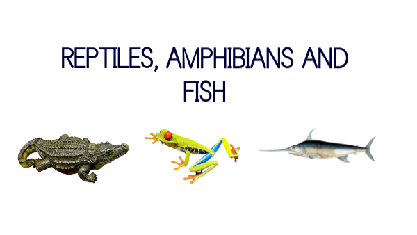REPTILES, AMPHIBIANS AND FISH | Genially