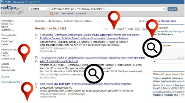 PubMed: Visualització Resultats
