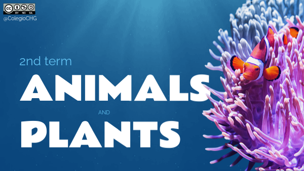 P3_NS ANIMALS AND PLANTS