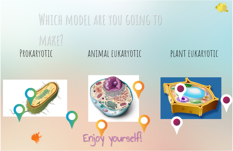 Cell model instructions | Genially