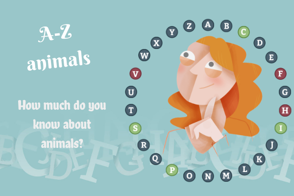 A to Z animals