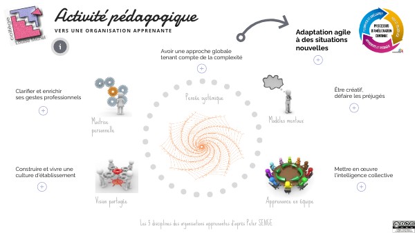Organisation apprenante