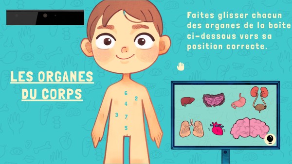 JEU INTERACTIF - LES ORGANES DU CORPS HUMAIN | Genially