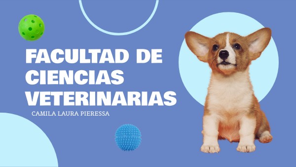 Camila Laura Pieressa 2c