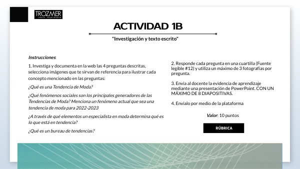 ACTIVIDAD 1B DEMO - TROZMER