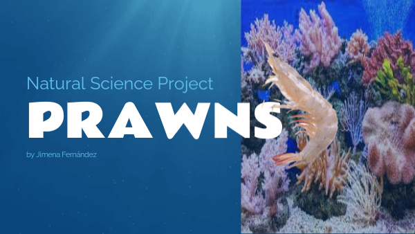 Prawns | Genially