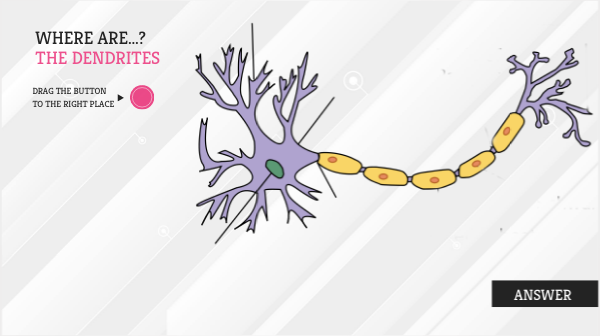 NEURON PARTS GAME | Genially