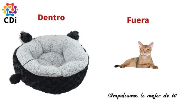 Dentro - fuera | Genially