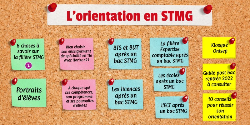Orientation en STMG