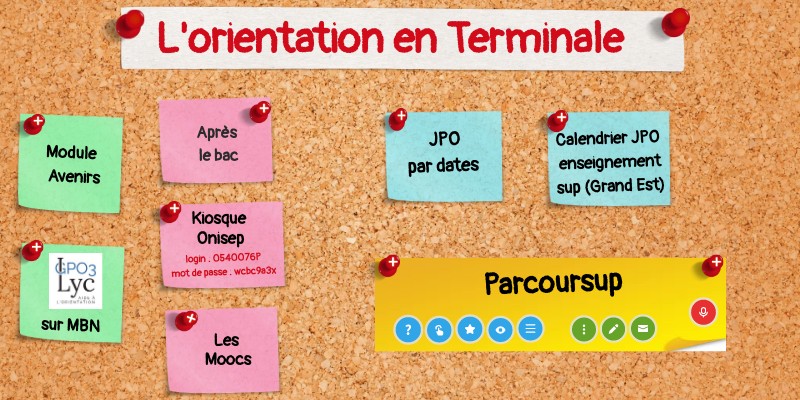 Orientation Terminale | Genially