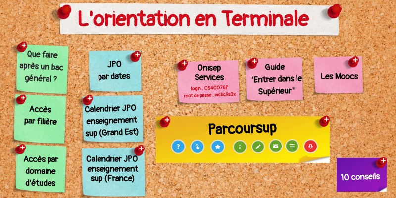 Orientation Terminale | Genially