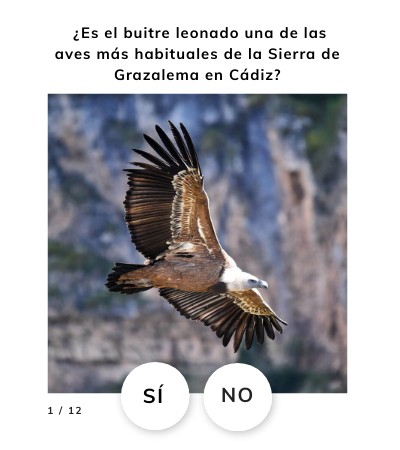 Renfe - Quizz | Genially