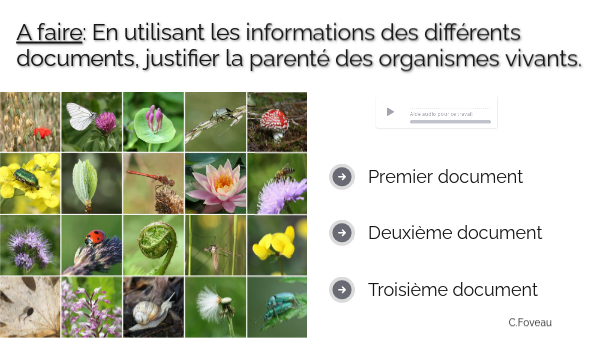 v2- 3 La parenté des organismes vivants | Genially