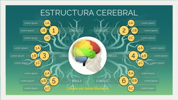 THE BRAIN | Genially