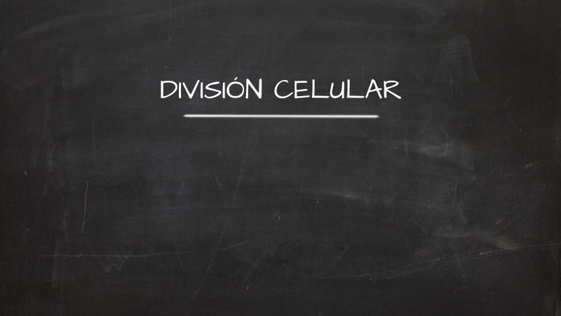 División Celular | Genially