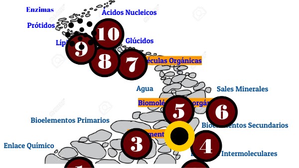 Bioelementos y Biomoléculas