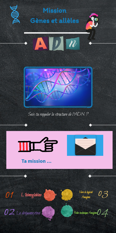 Mission "Gène et allèle" | Genially