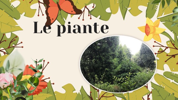 PLANTS PRESENTATION | Genially