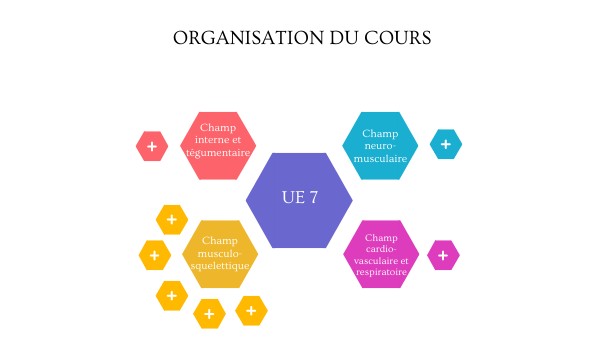 Organisation du cours | Genially