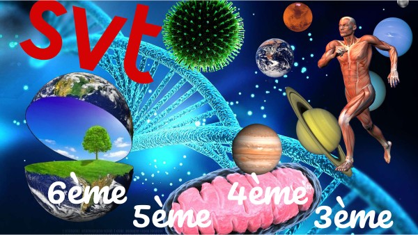 svt accueil | Genially