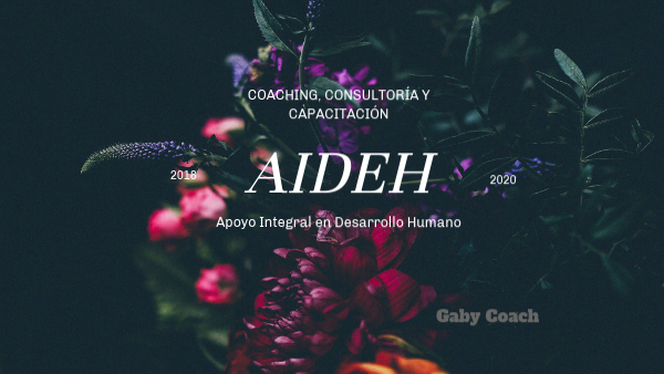 Dossier AIDEH