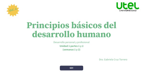 Principios básicos del D.H. | Genially