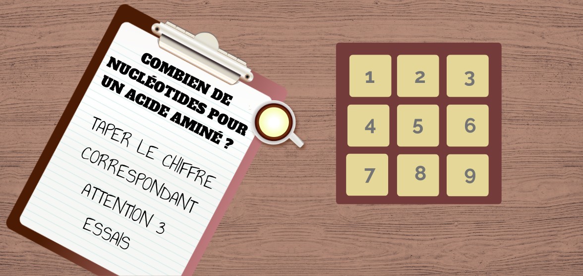 Escape game Code génétique | Genially