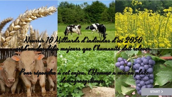 Agrosystème seconde 2021 | Genially