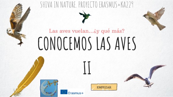 Conocemos las aves II | Genially
