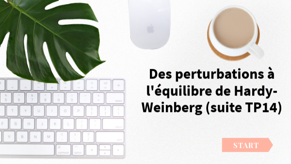 TP14 suite : Des perturbations à l'équilibre de Hardy-Weinberg | Genially