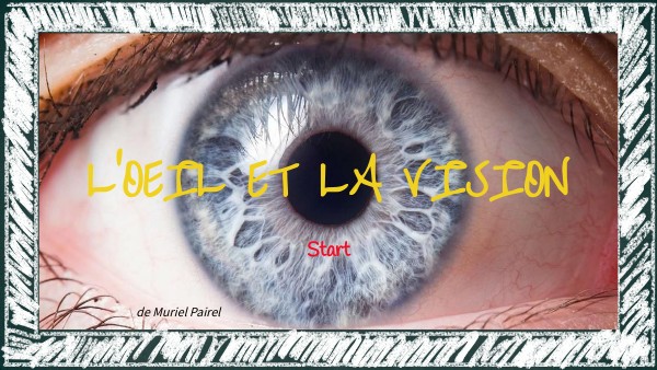 L'oeil et la vision M Pairel 2024 | Genially